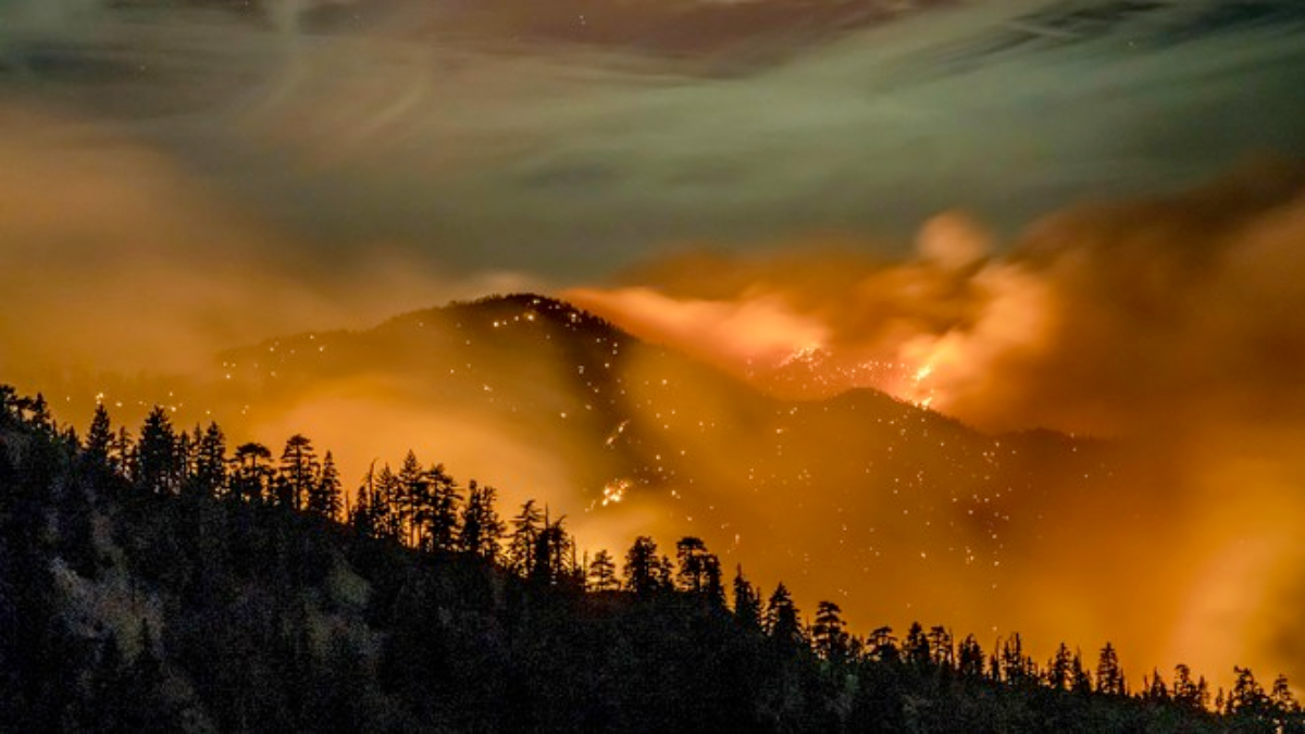 Energy & Environment - Future Caucus