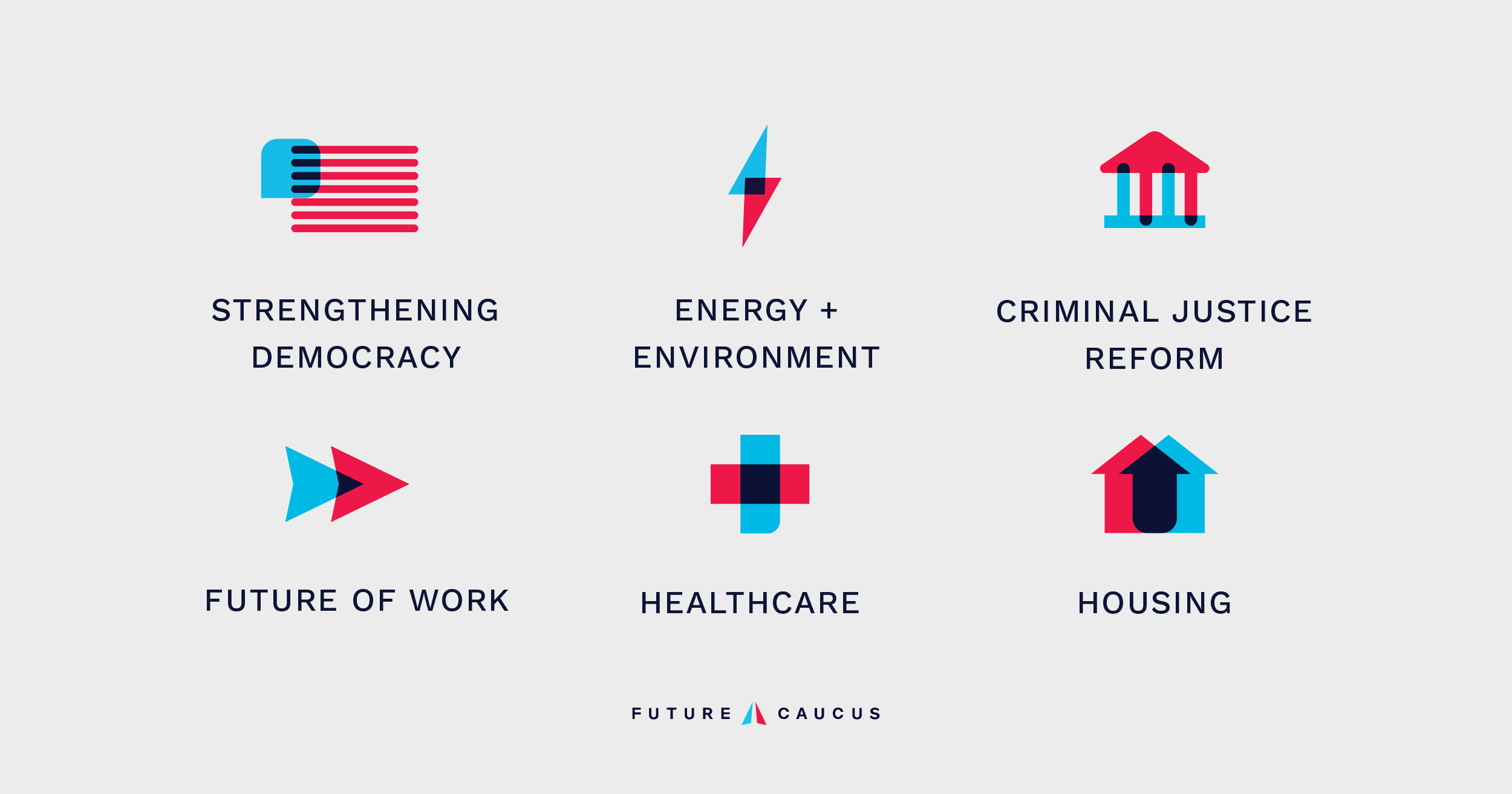 Innovation Fellowship - Future Caucus